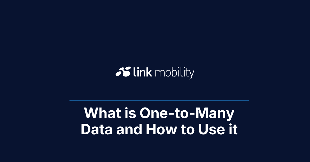 What is One-to-Many Data and How to Use it
