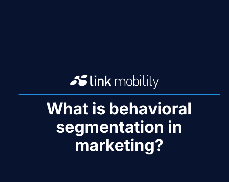 What is behavioral segmentation in marketing?