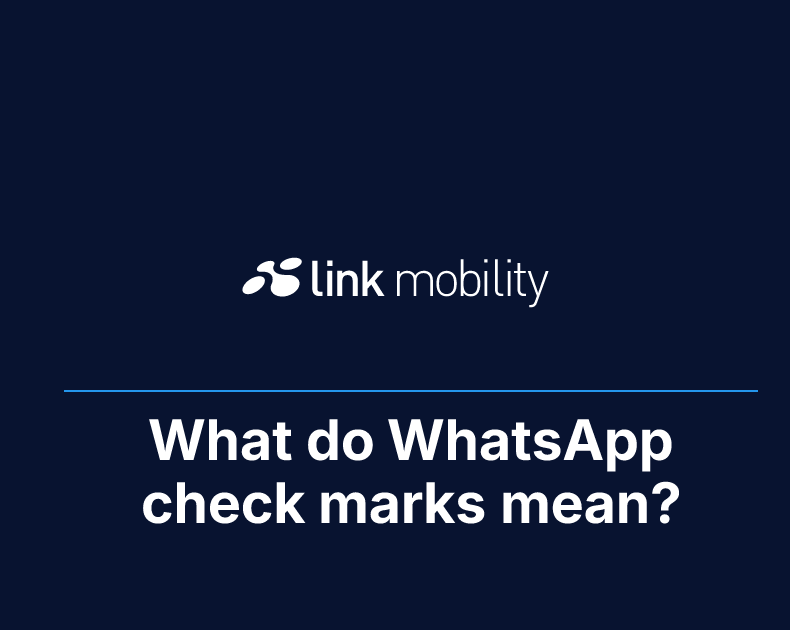 What do WhatsApp check marks mean?